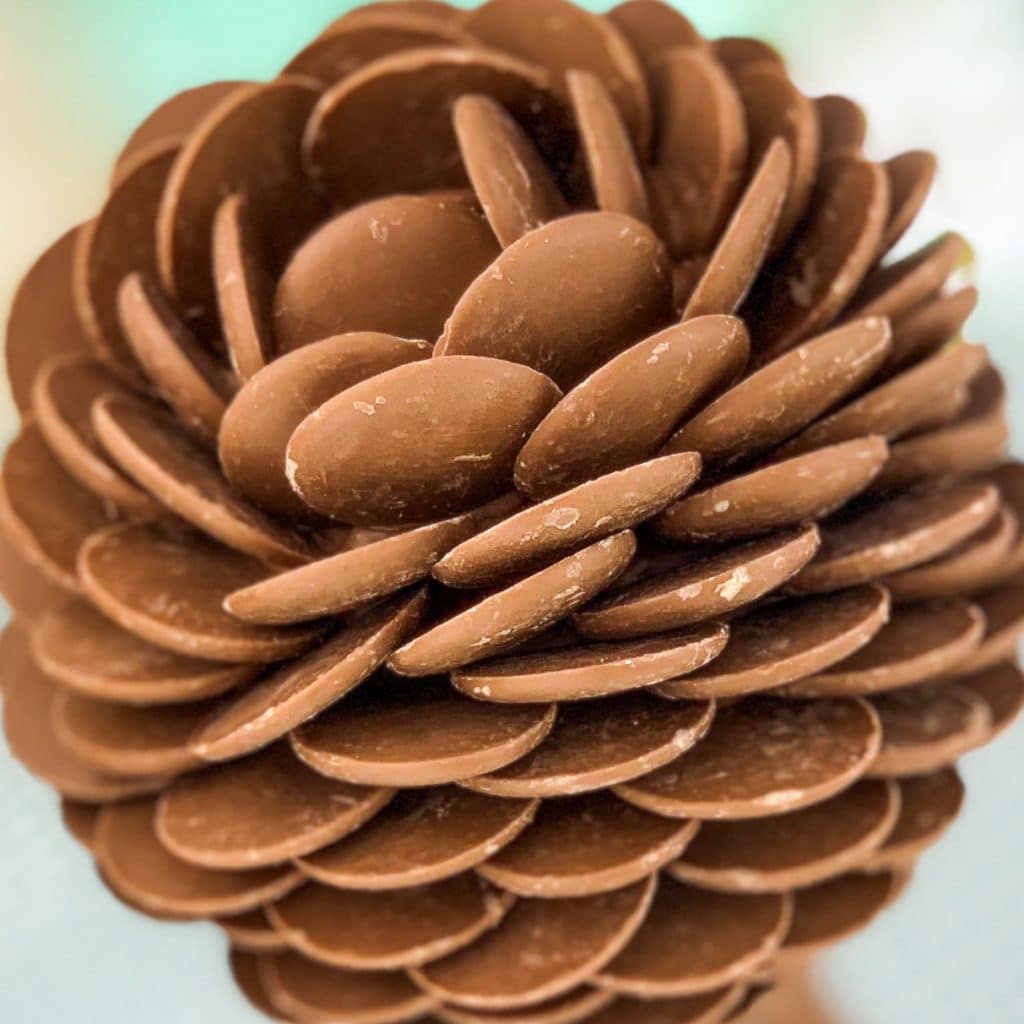 Chocolate Button Sweet Tree | Sweet Tree by Browns
